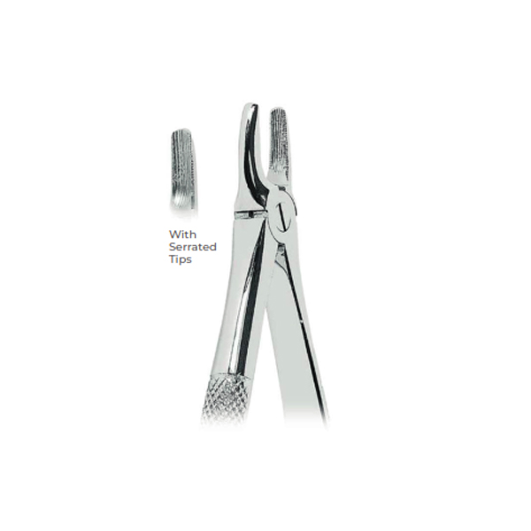 Extracting Forceps With serrated tips Fig.2