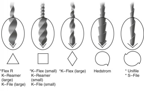 Types of Endodontic Files Explained